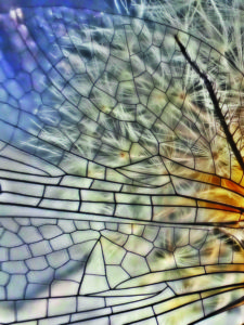 9 Inspiring Quotes for Nature Photographers - The National Wildlife ...