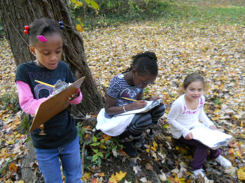 Eco-Schools USA Case Study: Ben Franklin Elementary School - The ...