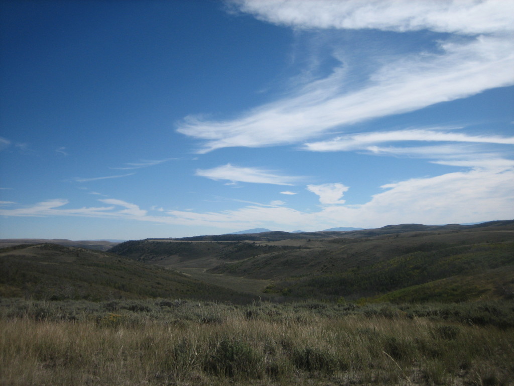 Restoring Buffalo to their Home on the Range - The National Wildlife ...