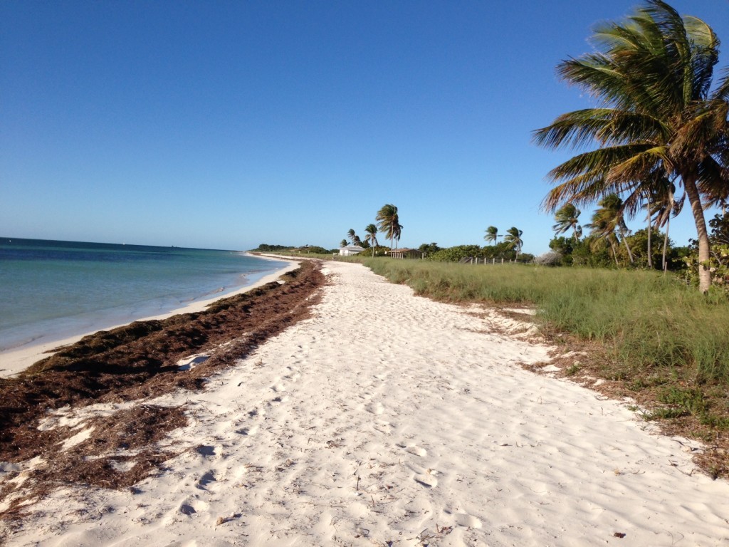 Invaders in Paradise - The National Wildlife Federation Blog