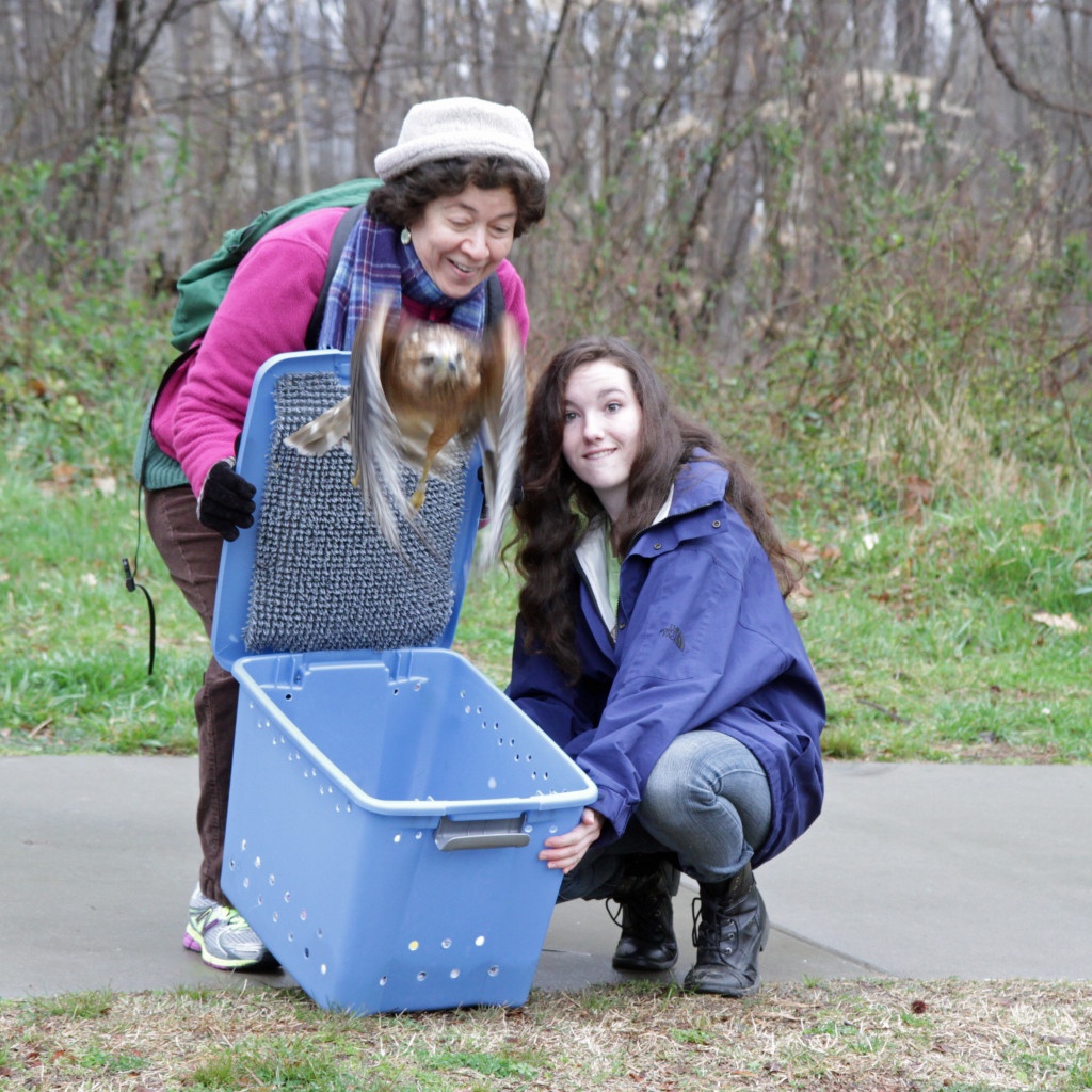 Matthews, North Carolina Celebrates Community Wildlife Habitat ...