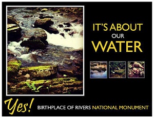 Endangered Species Designation Offers Diamond Darter a Chance to Shine ...