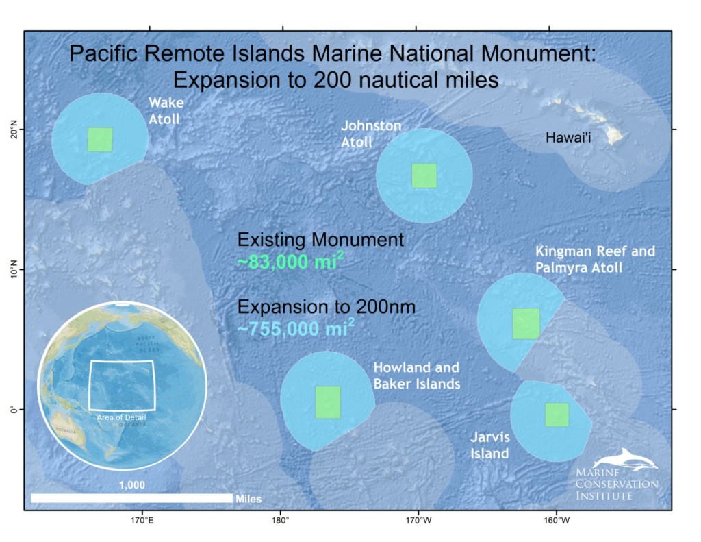 Treasure Trove of Pacific Wildlife Need Your Support for Expanded ...