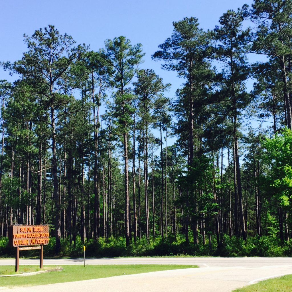 Alabama Wildlife and National Wildlife Federation Hold First Fire ...