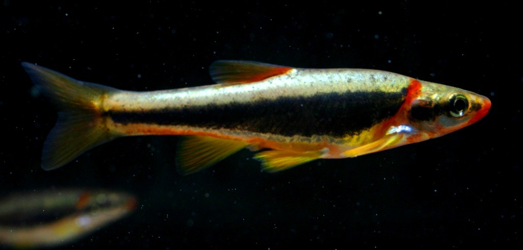 Affiliate of the Week: Kentucky Waterways Alliance - The National ...