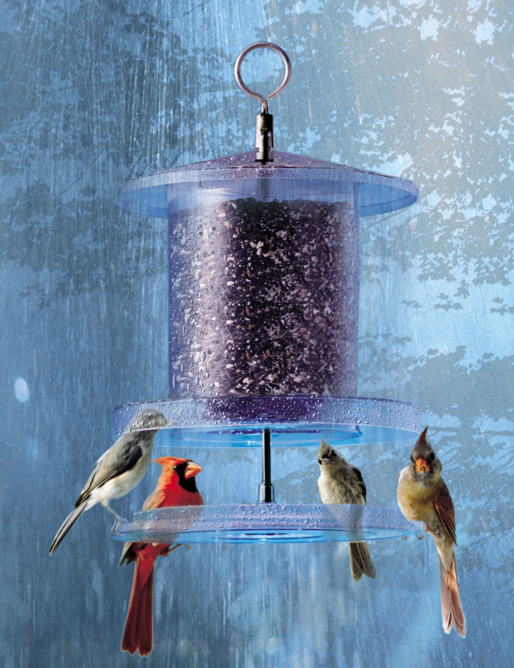 Gifts That Help Wildlife - The National Wildlife Federation Blog