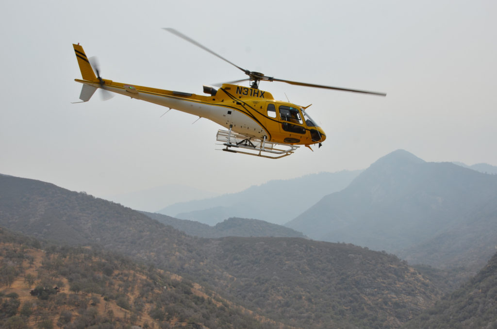 Ten Remarkable California Wildlife Moments in 2015 - The National ...