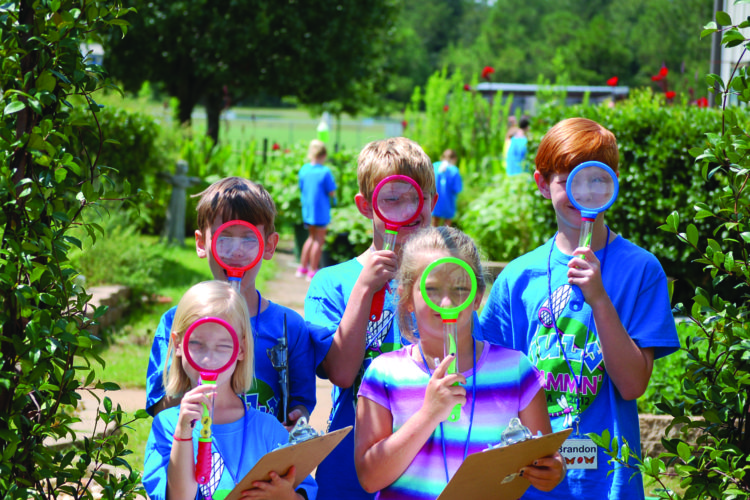 Affiliate of the Week: Alabama Wildlife Federation - The National ...