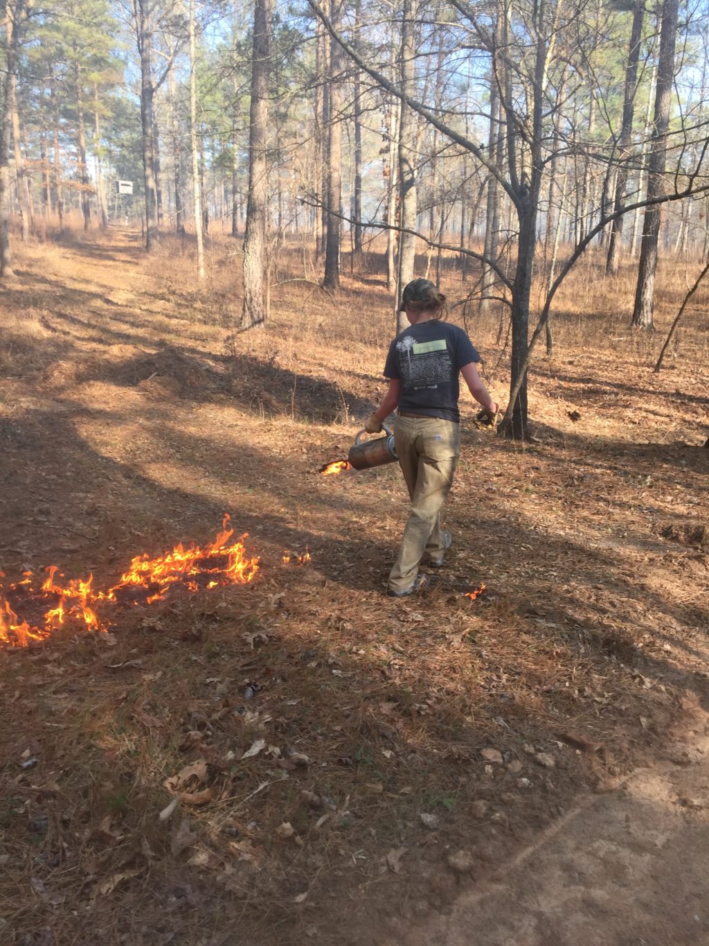 Setting the Woods on Fire - The National Wildlife Federation Blog