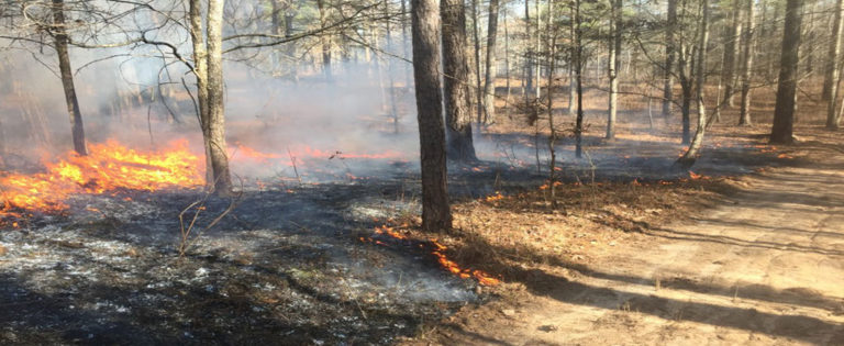Setting the Woods on Fire - The National Wildlife Federation Blog