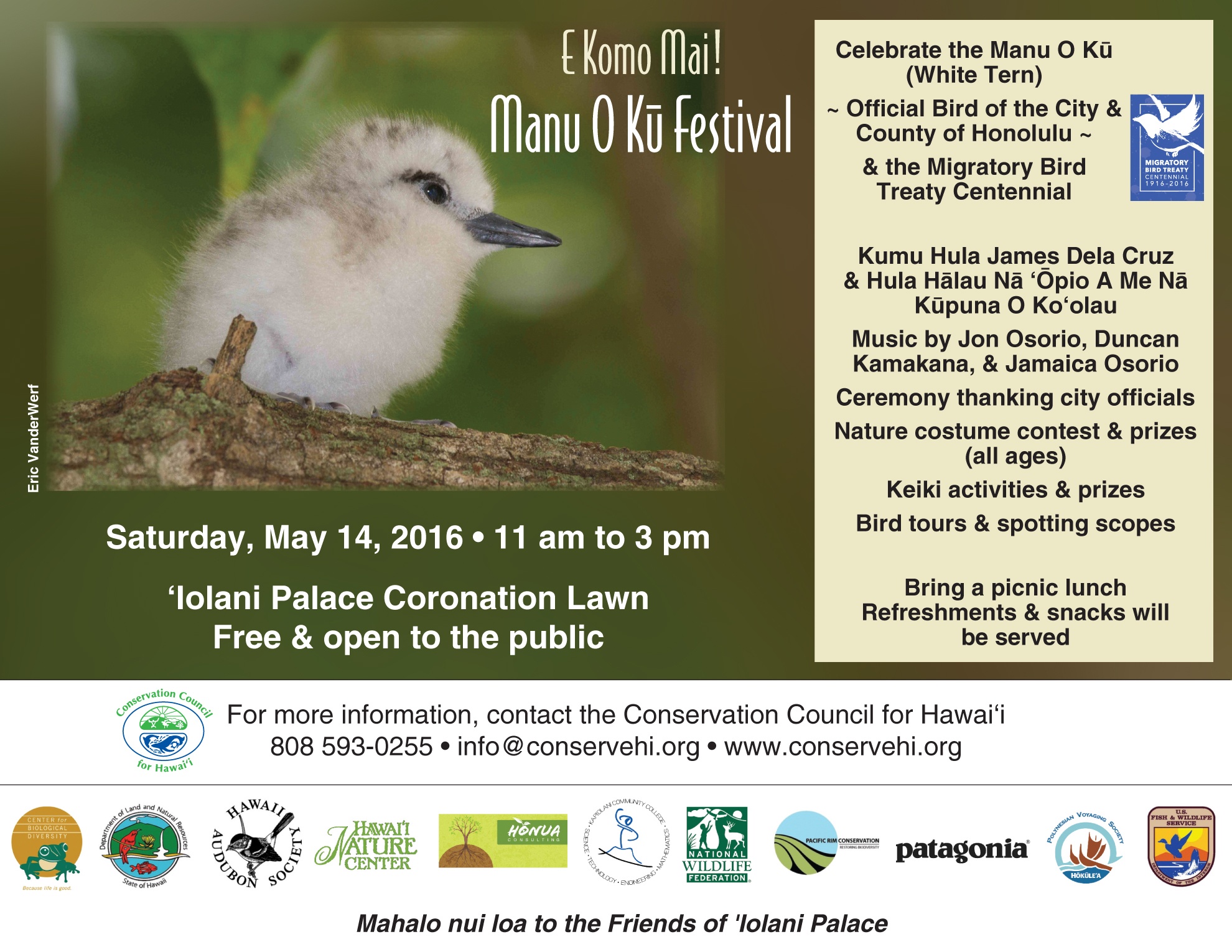 Manu O Kū: Celebrating Wildlife in Honolulu’s Urban Center - The ...