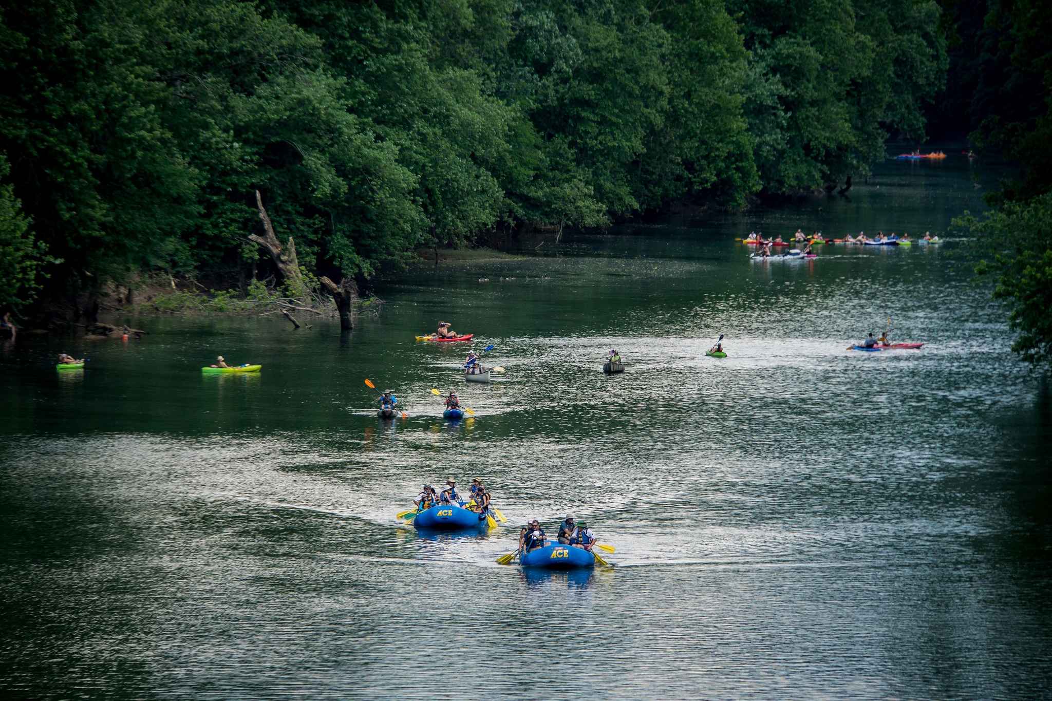Affiliate of the Week: West Virginia Rivers - The National Wildlife ...