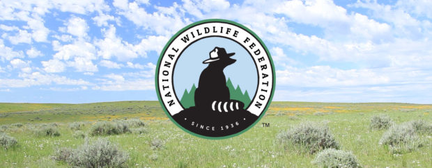 Federation Unveils New Logo - The National Wildlife Federation Blog