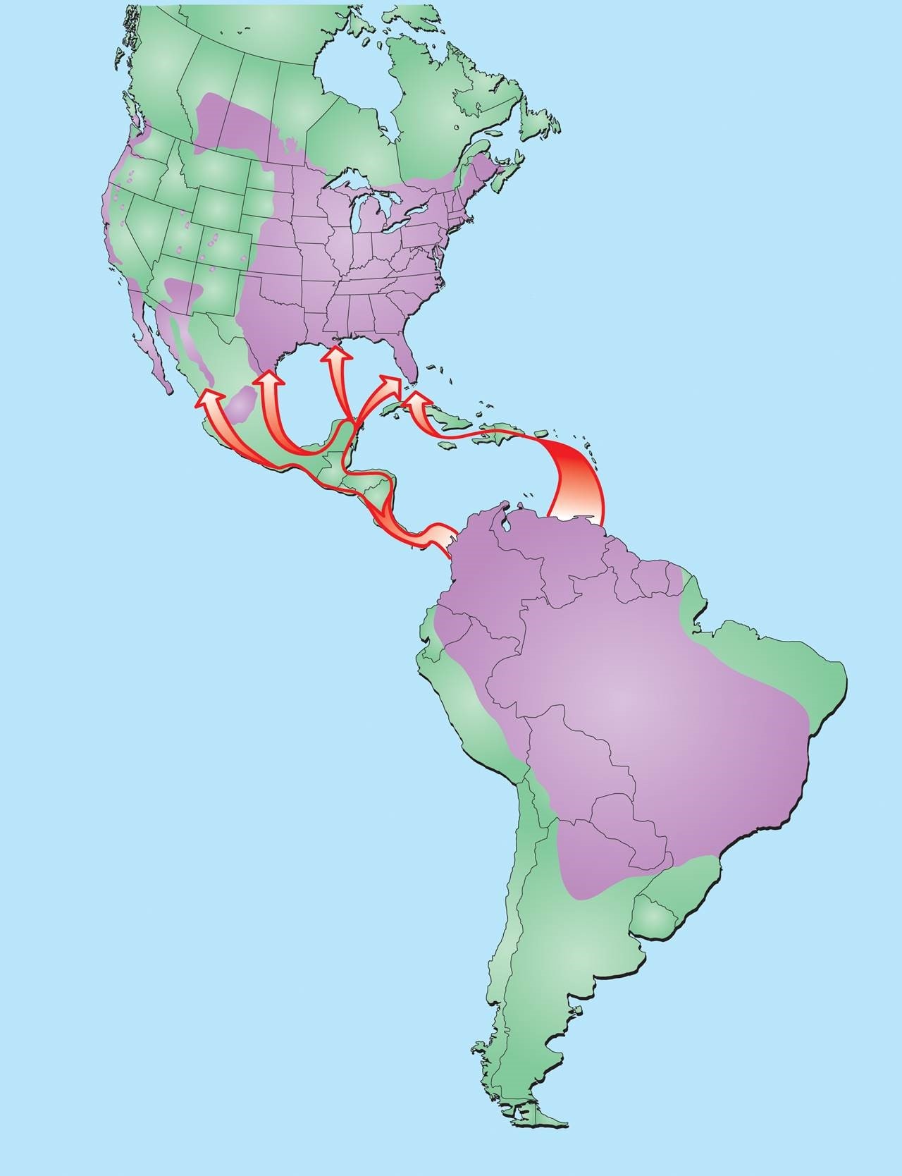 How Engaged Consumers Can Help Protect Wildlife In the Amazon - The ...