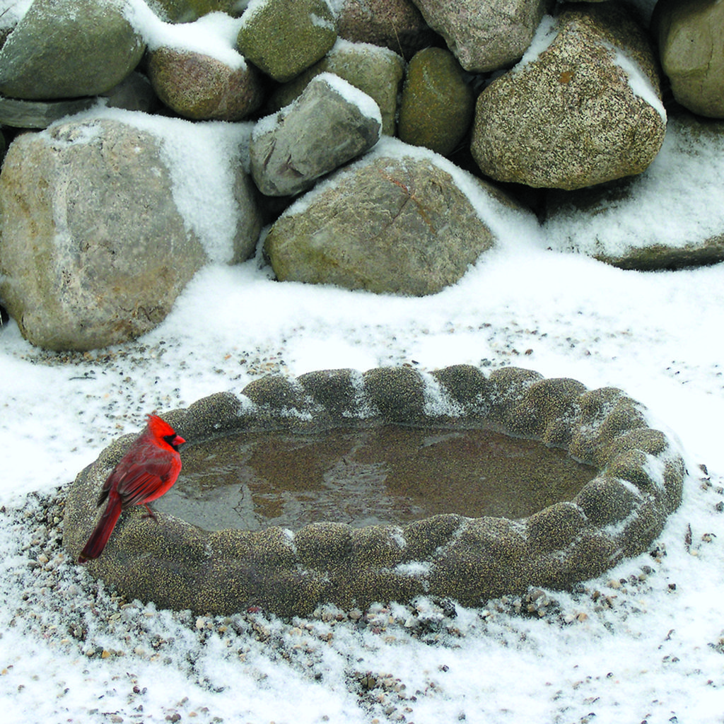 Four Ways to Provide Water for Birds - The National Wildlife Federation ...