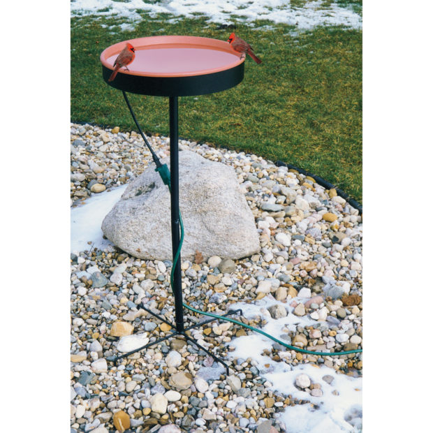 Four Ways to Provide Water for Birds - The National Wildlife Federation ...