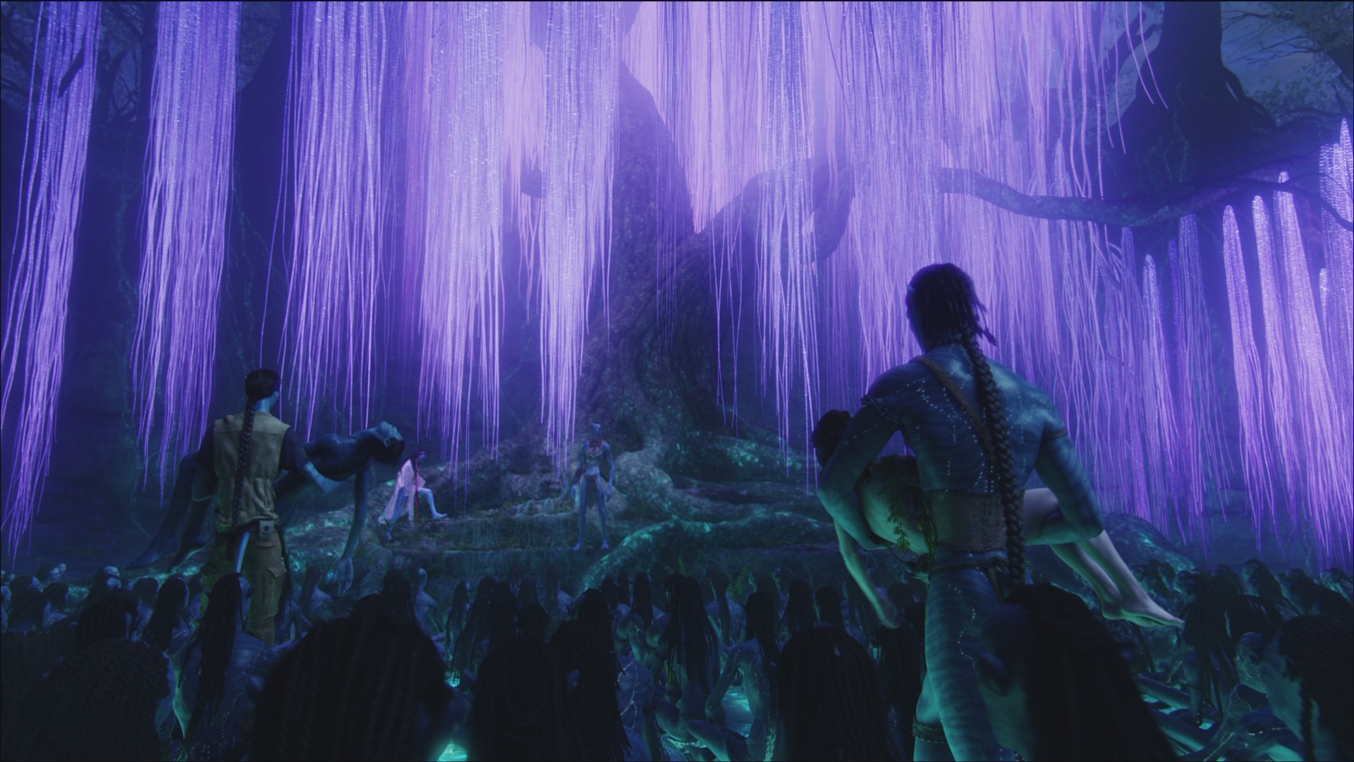 Top Pop Culture Trees - The National Wildlife Federation Blog