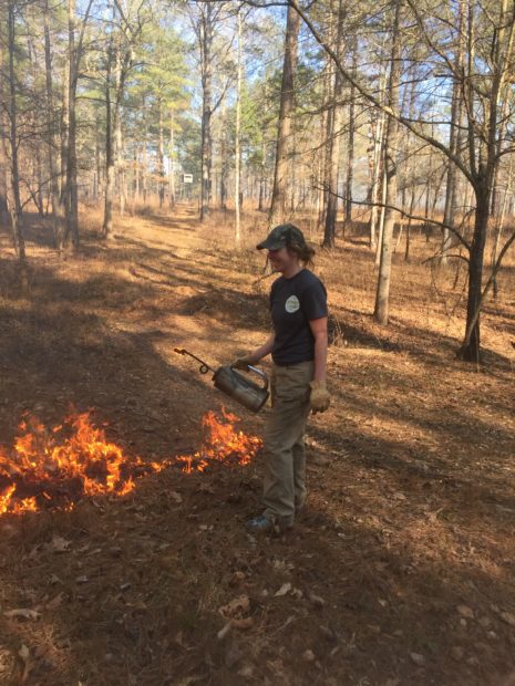 Defensive Steps for Landowners Facing Wildfire Threats - The National ...