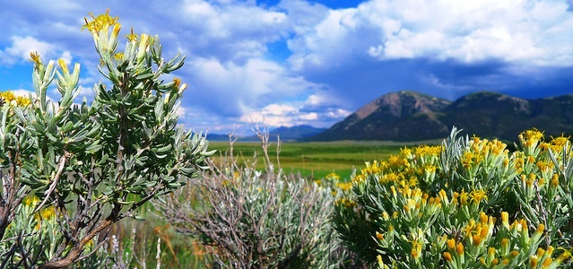 Fall in Love with Wild America - The National Wildlife Federation Blog