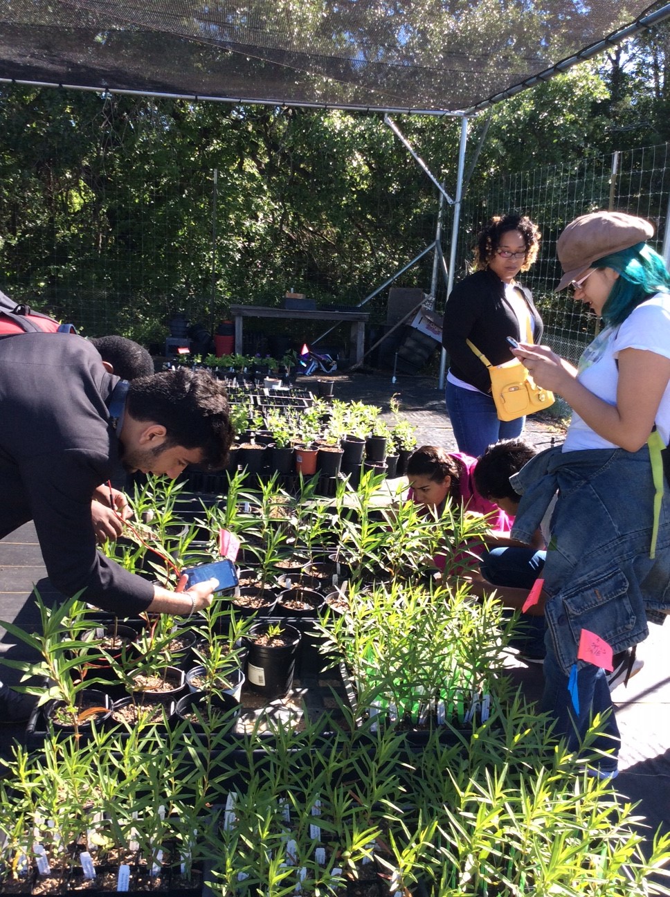 The Monarchs Are Here! - The National Wildlife Federation Blog