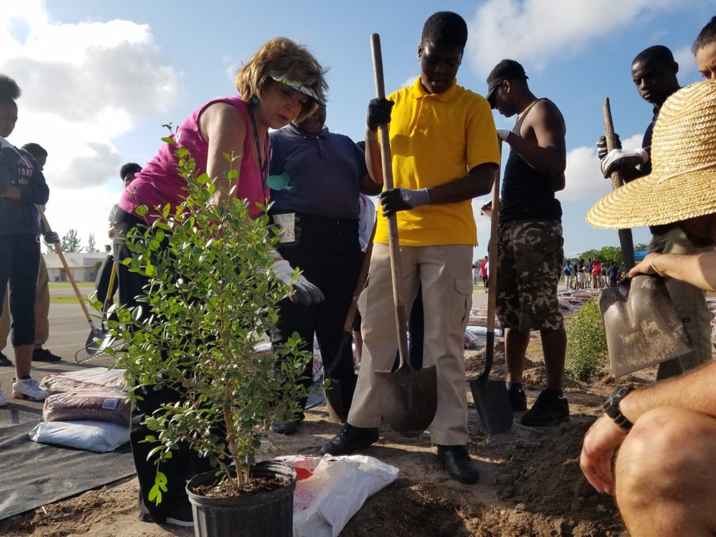 150 Students and Volunteers Plant Trees for Wildlife - The National ...