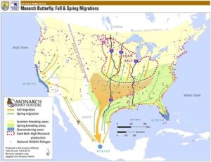 Interstate 35: Monarch Butterfly Highway - The National Wildlife ...