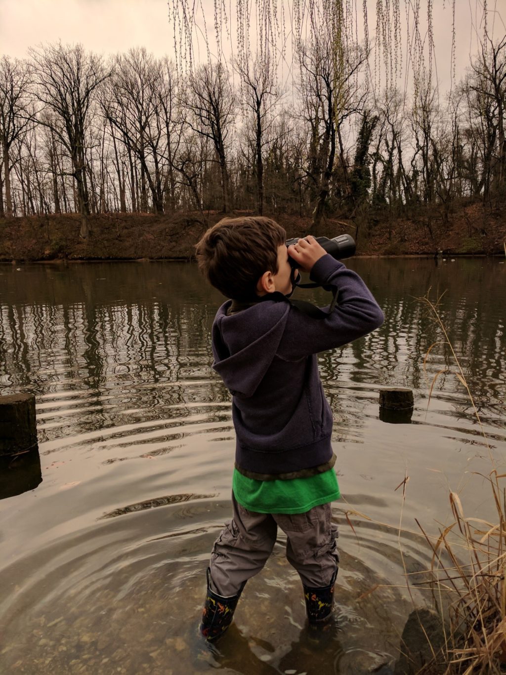 Camping with Kids! - The National Wildlife Federation Blog