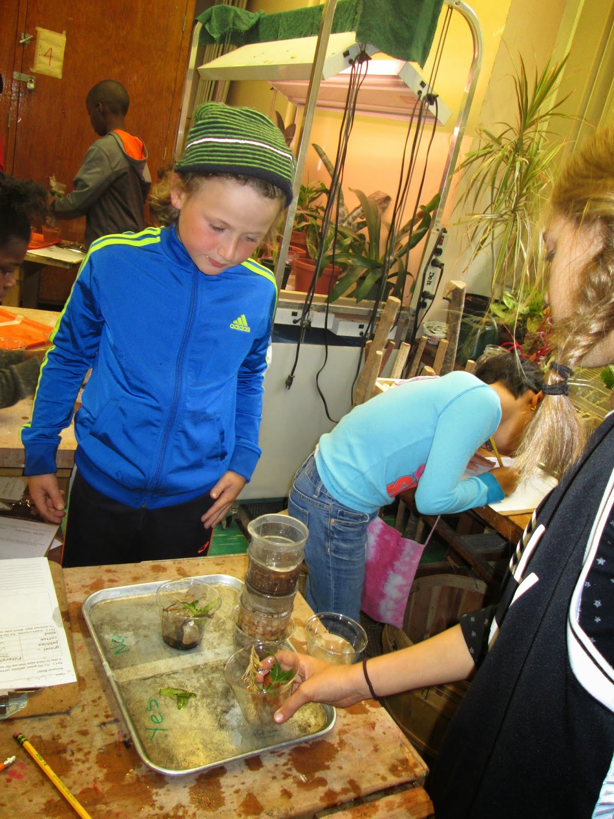 Eco-Schools USA Traveling Along the Pathways to Sustainability - Part 1 ...