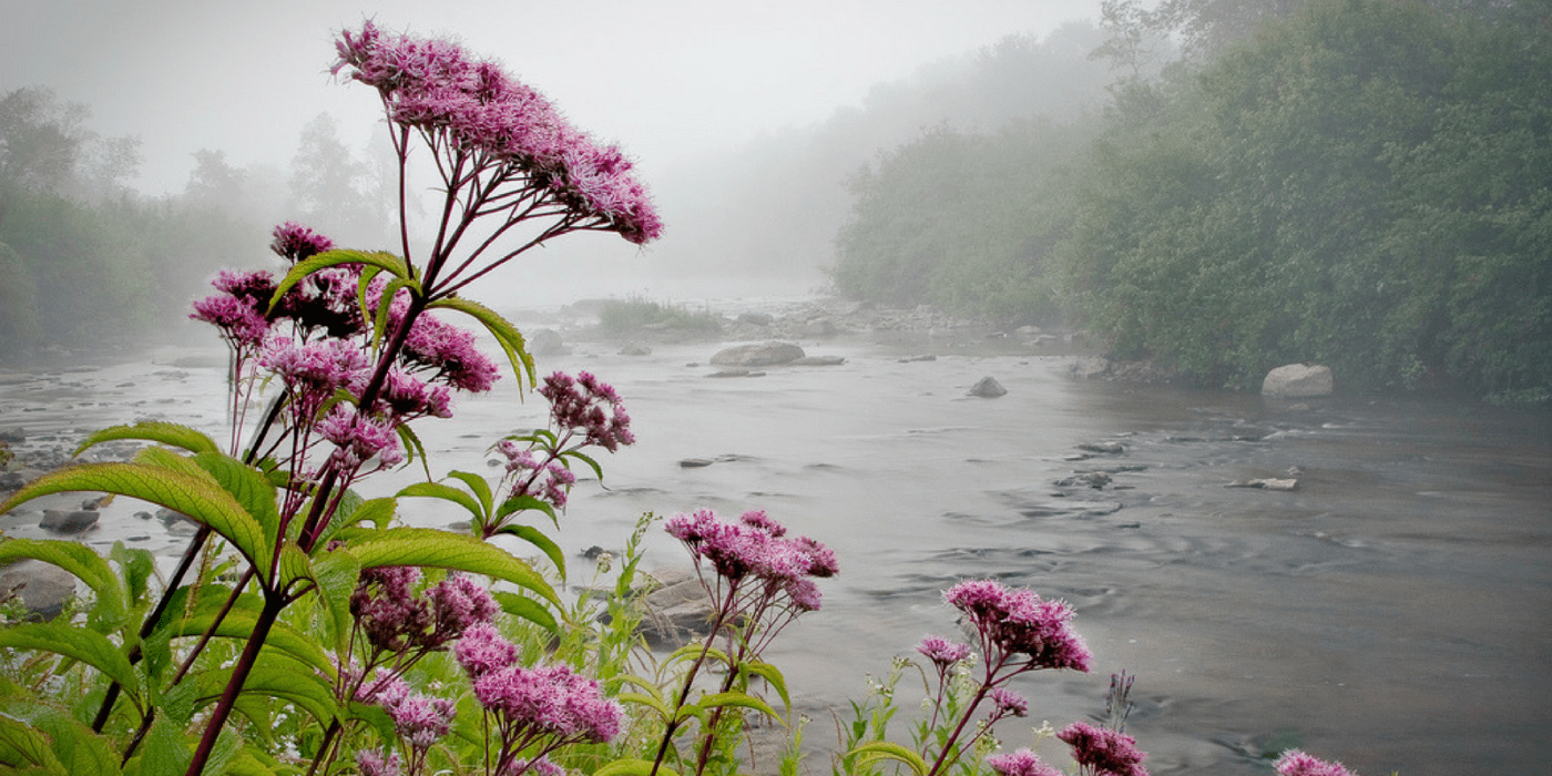 A Voice from Coal Country - The National Wildlife Federation Blog