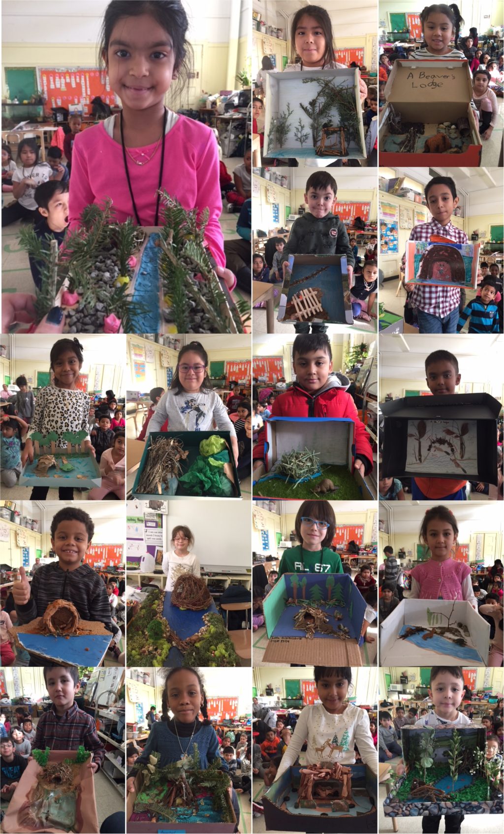 Brooklyn Students Build Beaver Dams - The National Wildlife Federation Blog