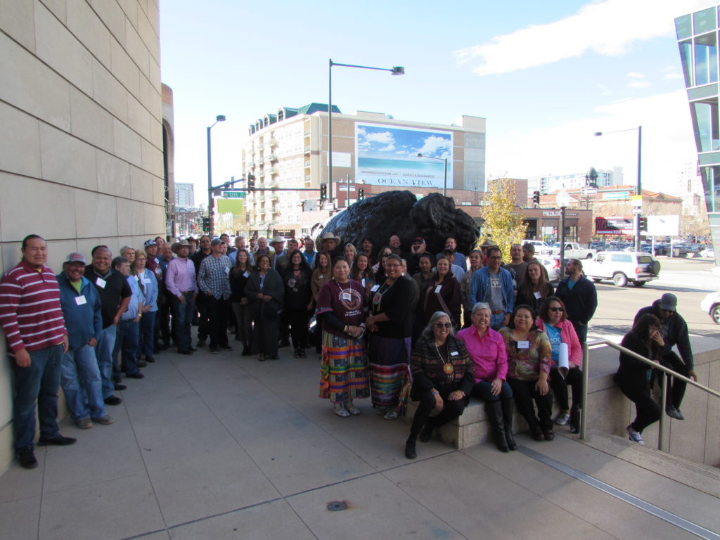 Buffalo Offer Unity and Healing - The National Wildlife Federation Blog