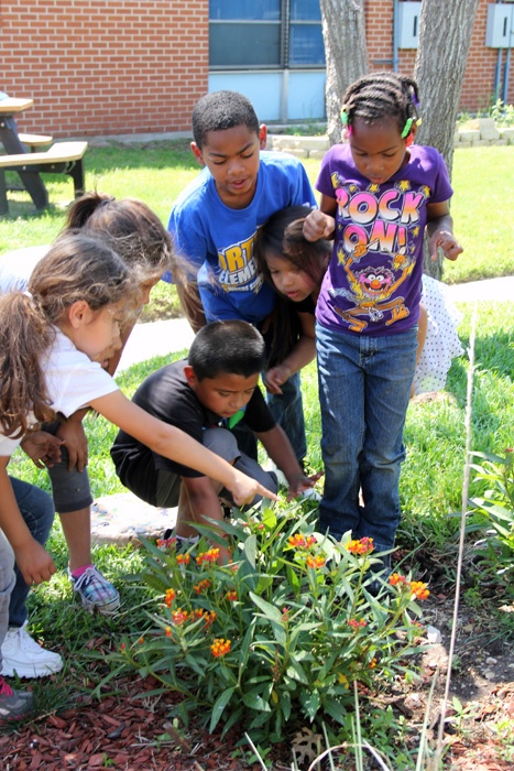 NWF Eco-Schools USA is Turning 10! - The National Wildlife Federation Blog