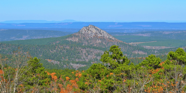 Twenty Miles to Wild Arkansas - The National Wildlife Federation Blog