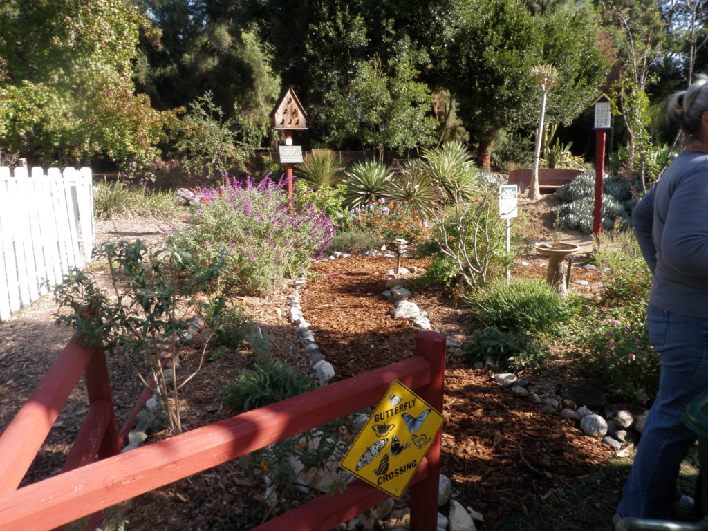 A Powerful Force for Pollinators - National Garden Clubs - The National ...