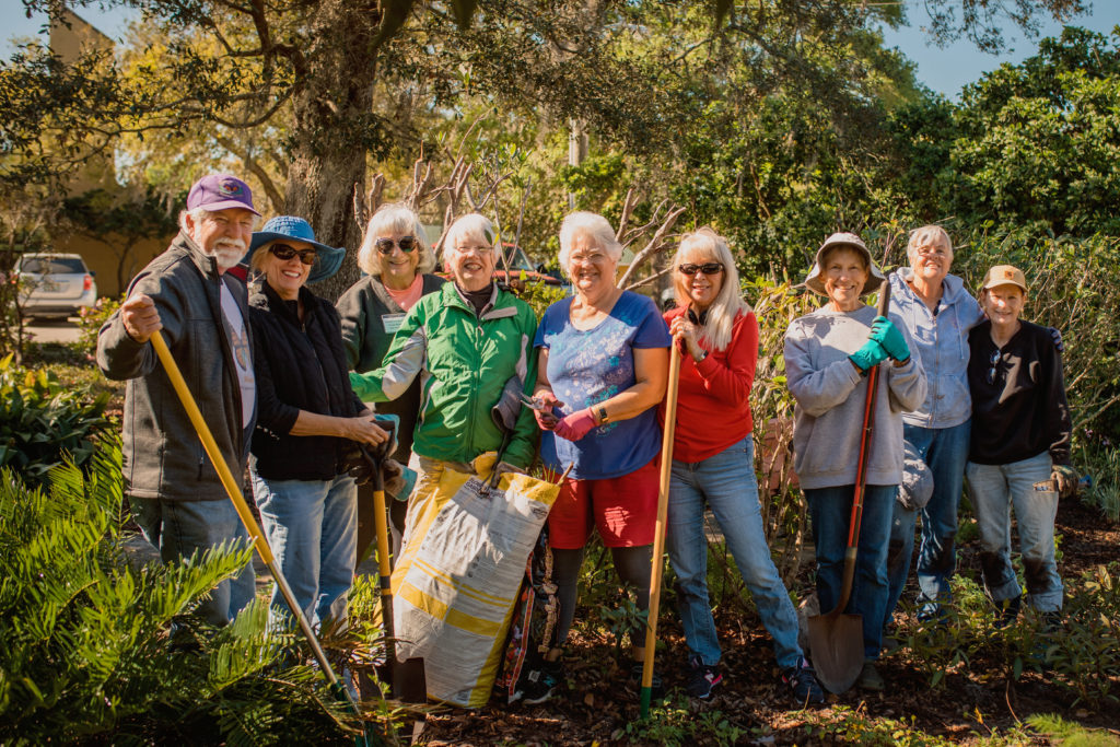 A Powerful Force for Pollinators - National Garden Clubs - The National ...