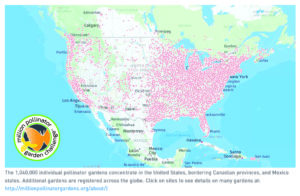 Planting for Three Seasons: Keep the Million Pollinator Garden Momentum ...