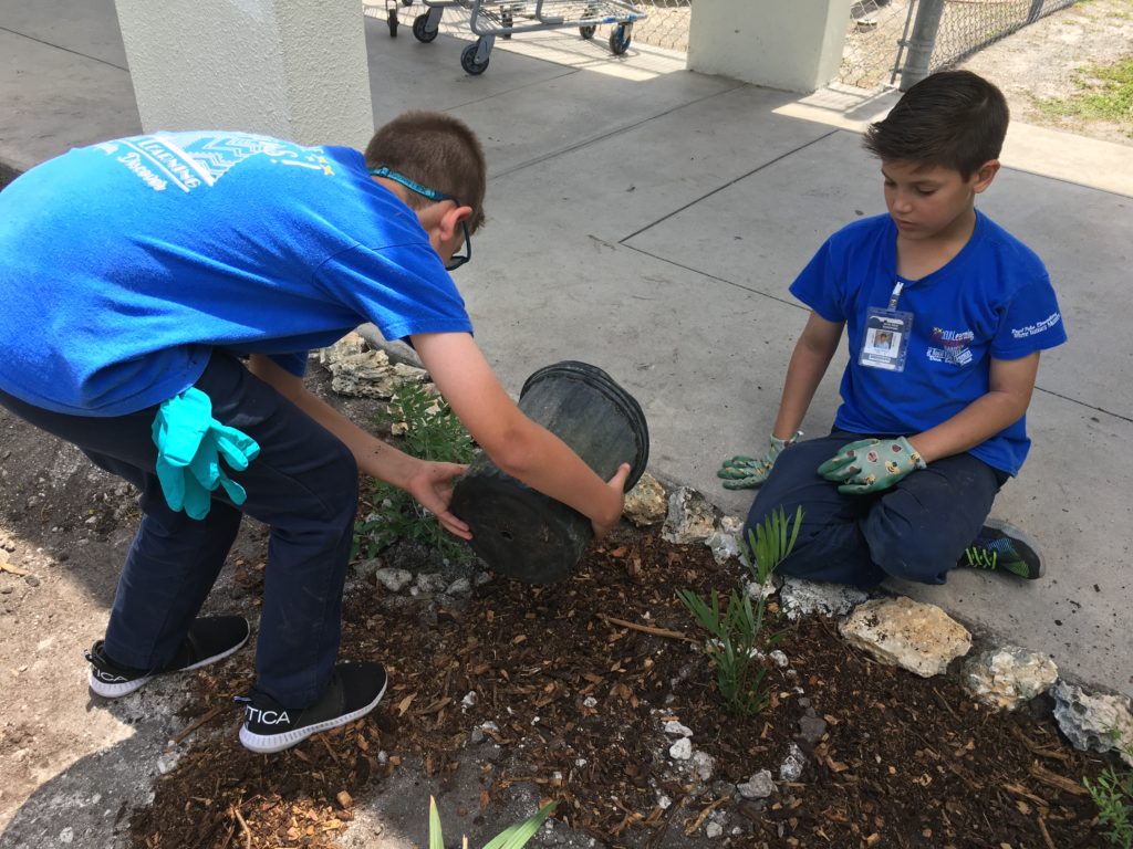 Earth Day Celebration: From Grass to Garden - The National Wildlife ...