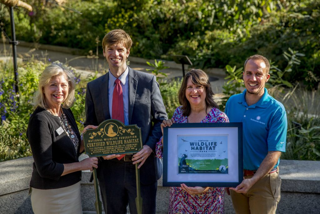 A Bug’s Eye view : Protecting Habitats Protects Life at Smithsonian ...