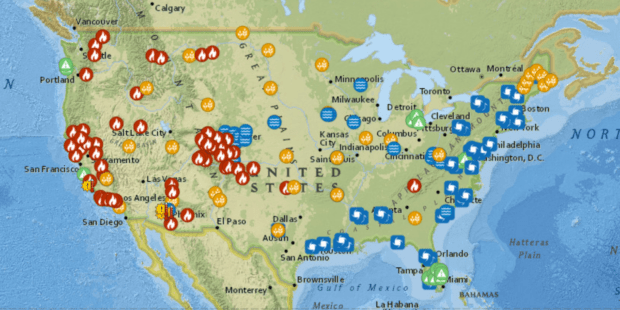 Five Species Impacted by Unnatural Disasters in 2019 - The National ...