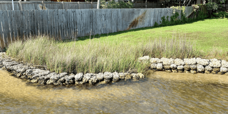 Softening Our Shorelines: Solutions for People and Wildlife Alike - The ...