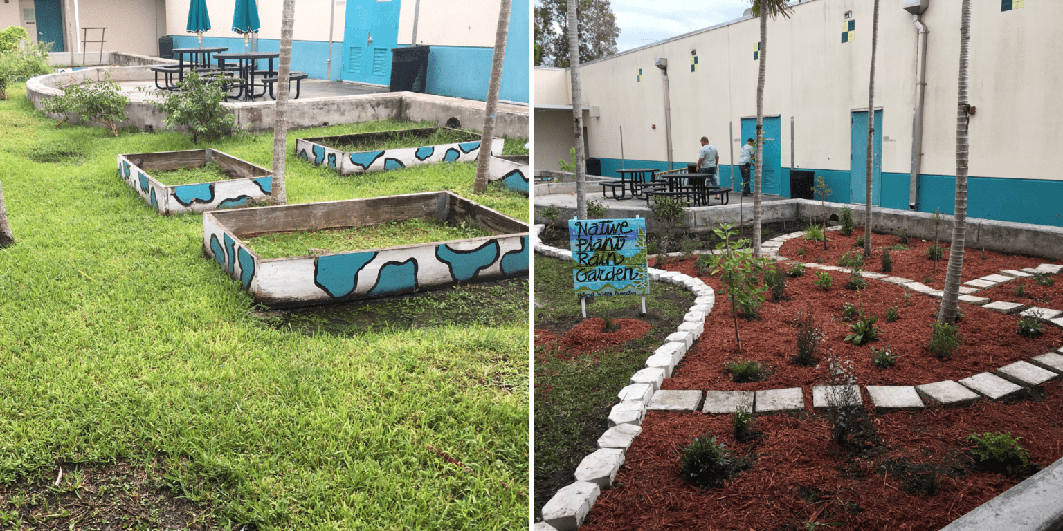 Community Connections Grown in Miami, Florida - The National Wildlife ...