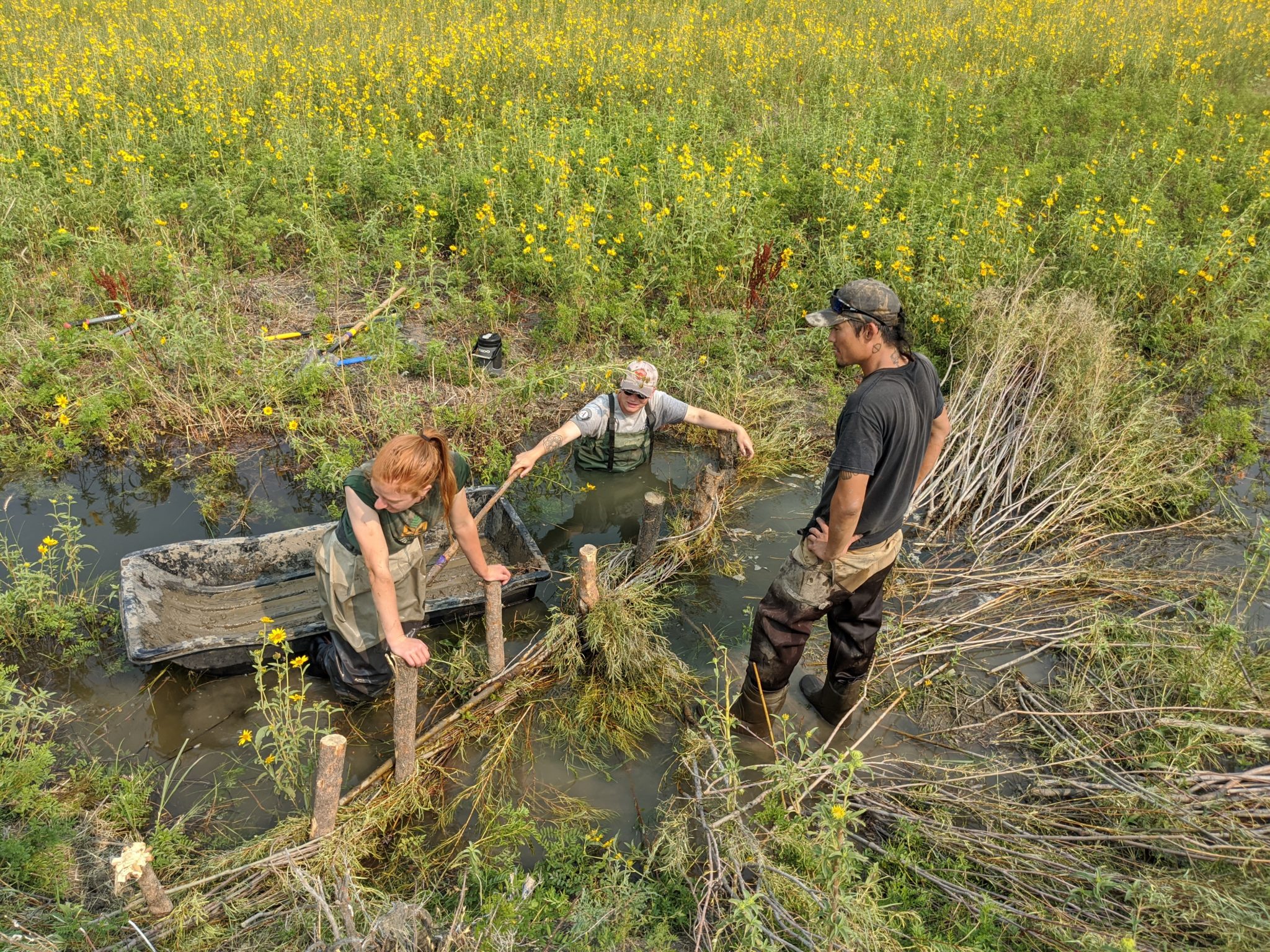 Re-watering the Prairie - The National Wildlife Federation Blog