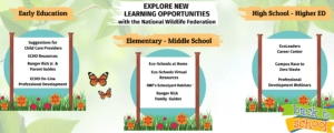 Environmental Education Goes Virtual: Creating Meaningful Learning ...