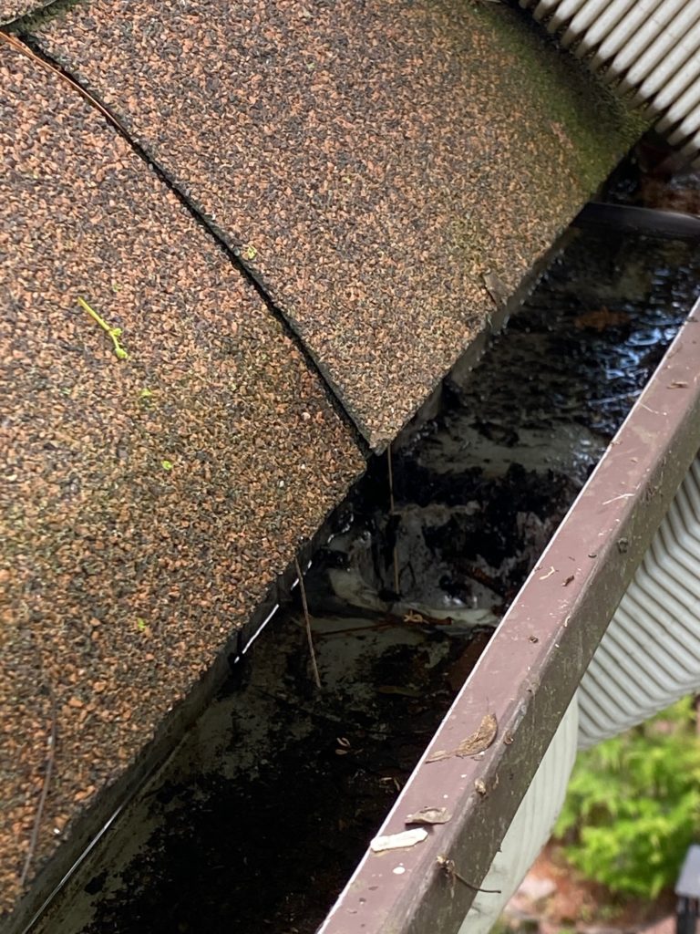 What You Need to Know Before Spraying for Mosquitoes - The National ...