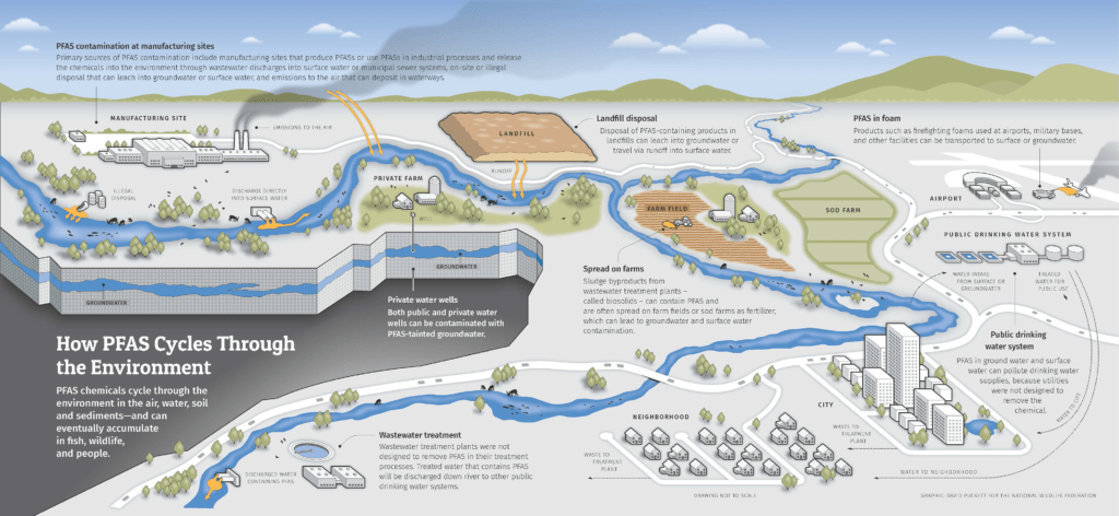 Confronting the “Forever Chemical” - The National Wildlife Federation Blog