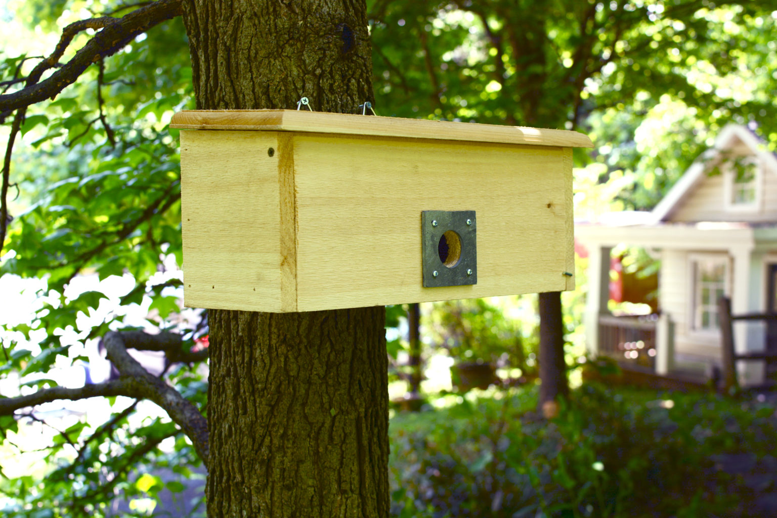 Five Ways to Attract Birds This Fall - The National Wildlife Federation ...