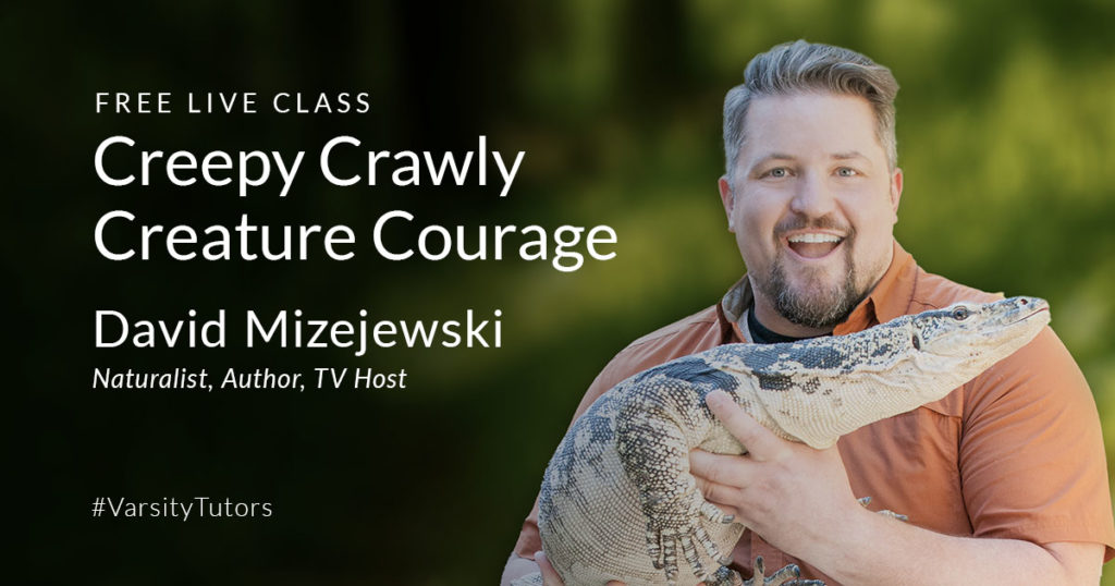 Learn About (Not So) Scary Backyard Wildlife - The National Wildlife ...