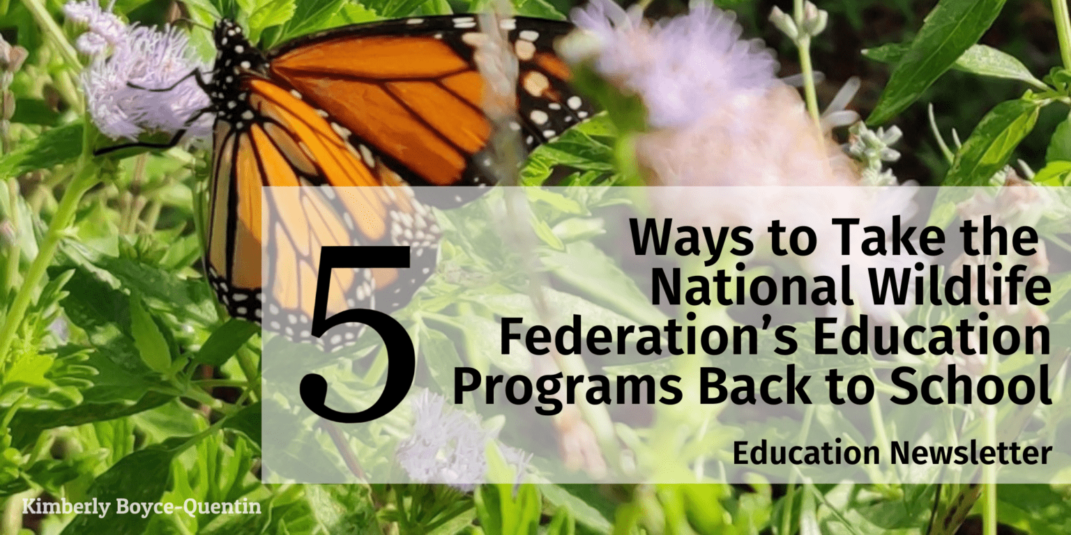 5 Ways to Take the National Wildlife Federation's Education Programs ...