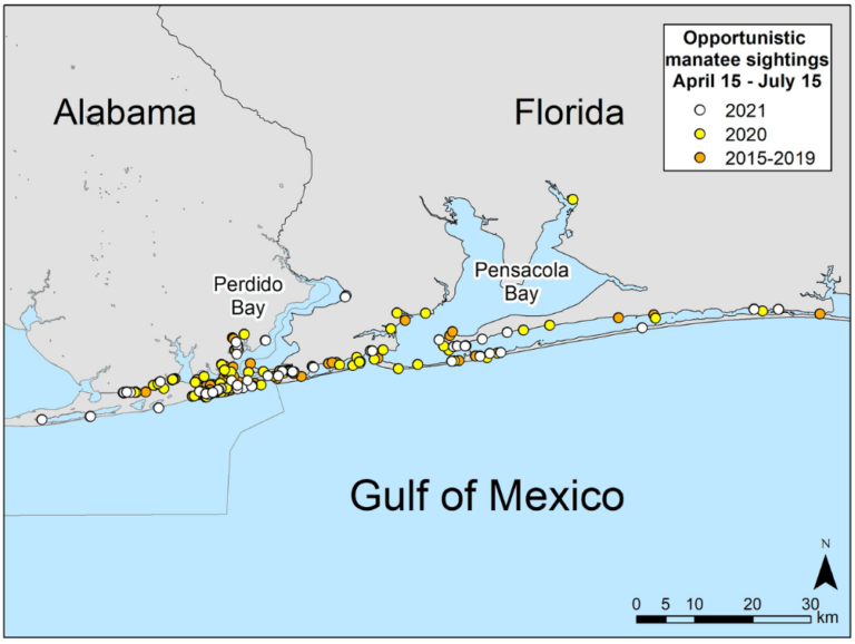 Manatees on the Move! - The National Wildlife Federation Blog
