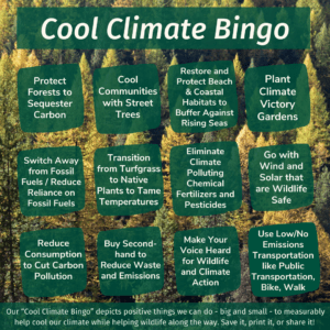Cool Climate Bingo - The National Wildlife Federation Blog
